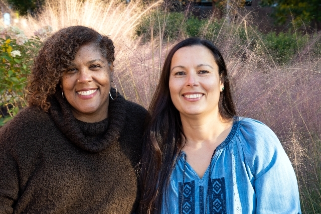 About Us - The Dig Box