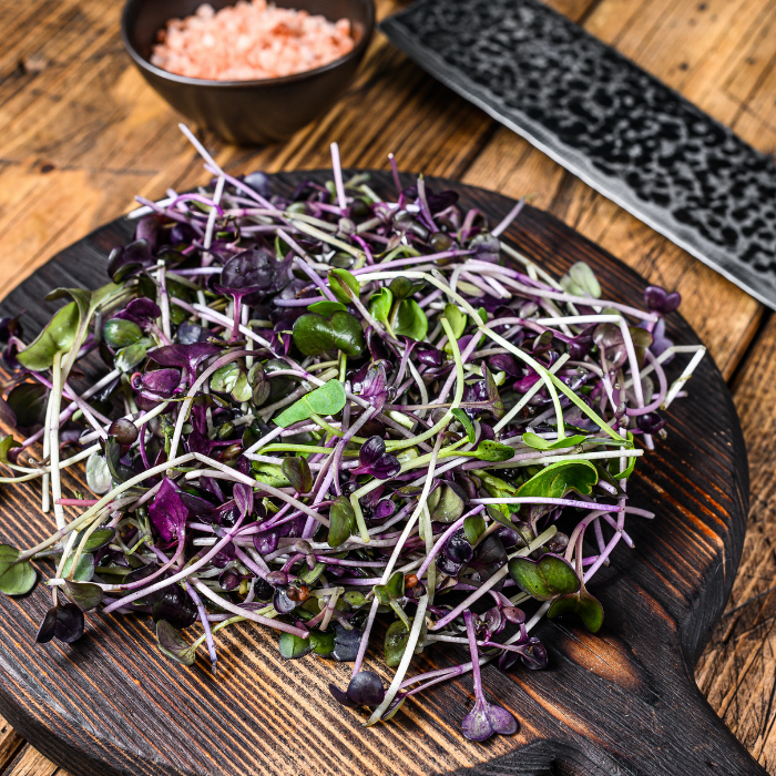 Rambo Radish Microgreen Recipes