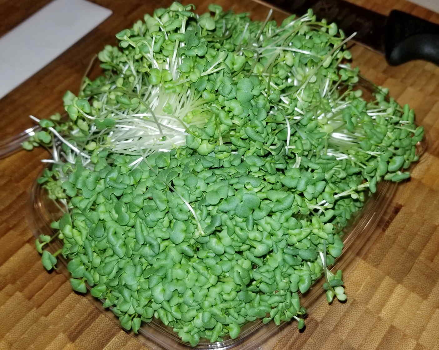 Wasabi Mustard Microgreen Recipes