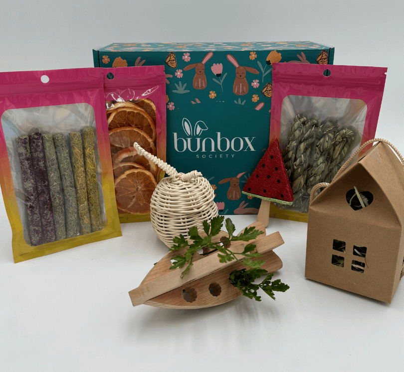 Bun Box Society - Subscription Box for Bunnies - Bun-box-society