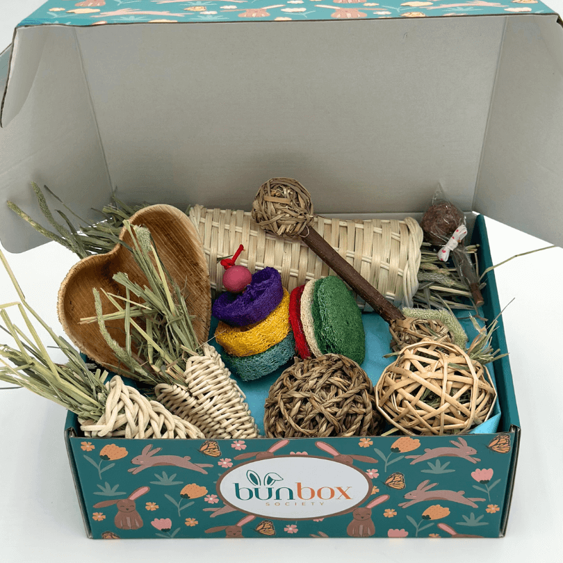 Bunny Shop - high quality rabbit toys, treats & gifts - Bun-box-society