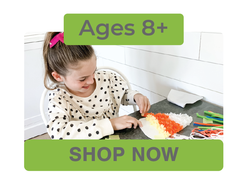 Ages 8+ Craft Kits - Curiosity Box Kids by The Curated Hive - The ...