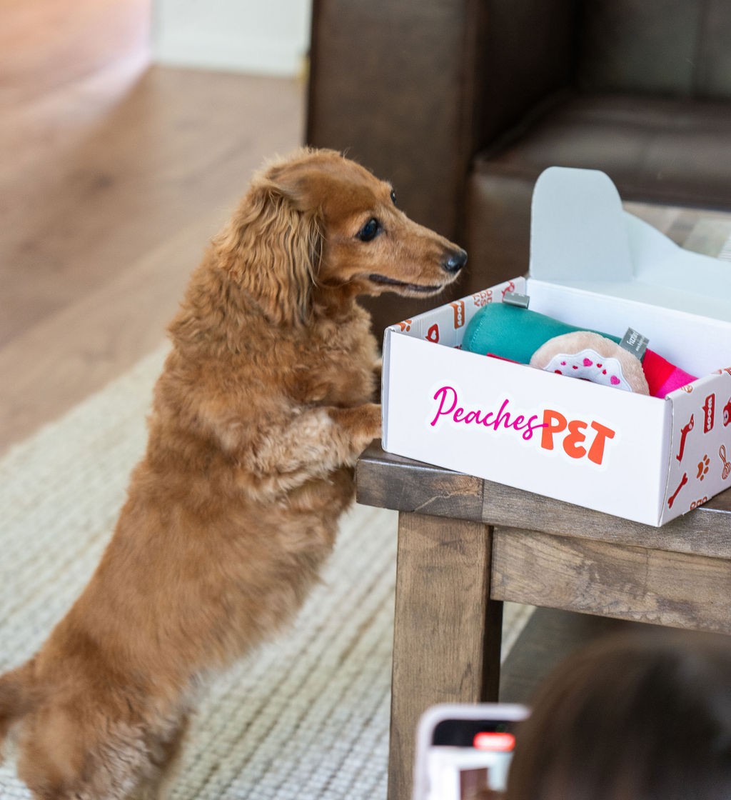 Shop Dog Goodies - Peaches Pet Subscription Box Australia