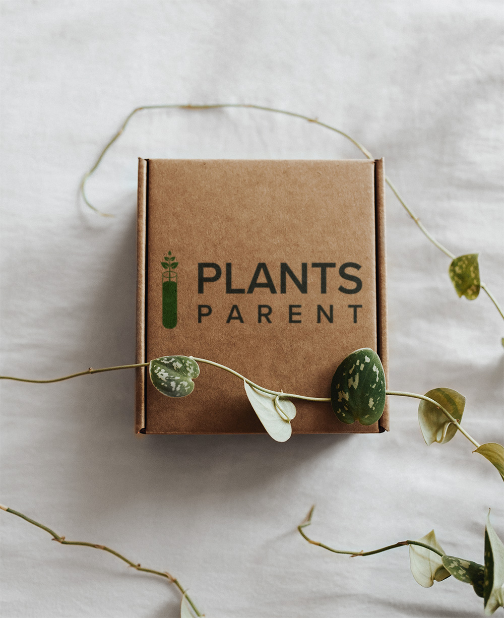 Plants Parent - Homepage - Plants Parent