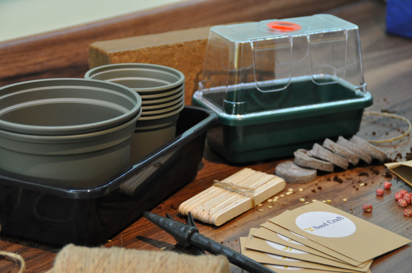 Box of the Month - Seed Craft