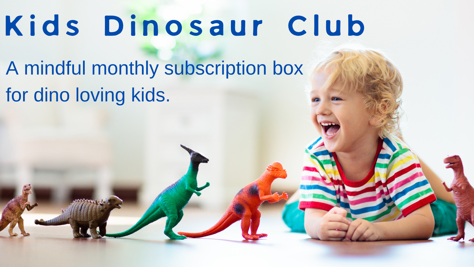 Policies | Kids Dinosaur Club
