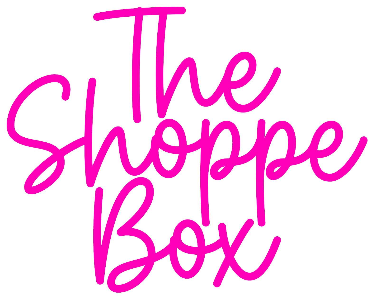 Our Boxes | The Shoppe Box